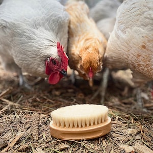 Chicken Feather Brush - Extra Soft Brush for Pet Chickens - Chicken ...