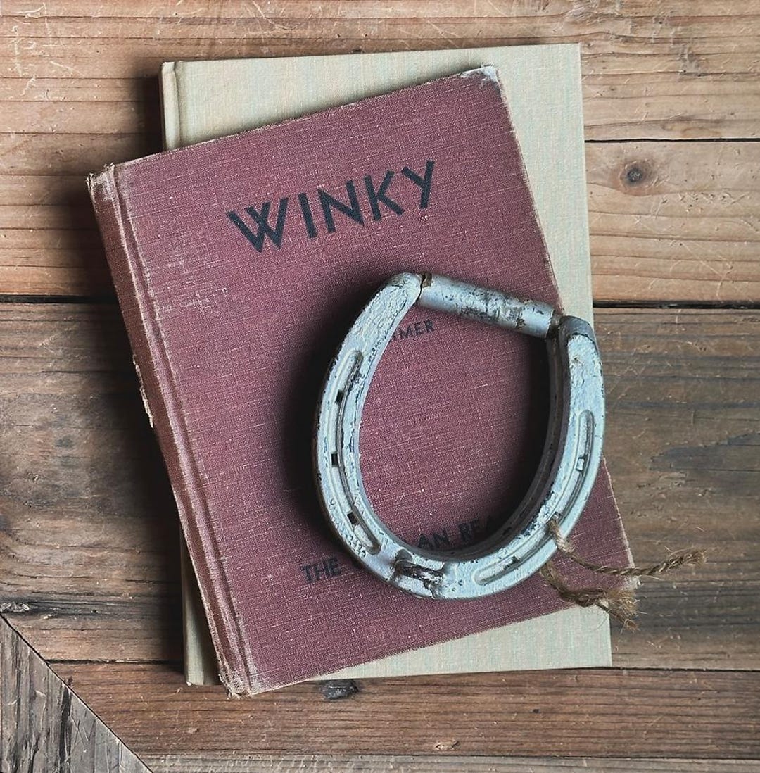 Vintage Winky Book 1949 Early Reader Hardcover - Etsy