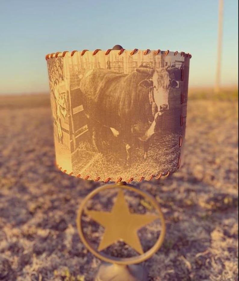 8-inch Western Cowboy Bucking Bull Riding Rider Rodeo Lampshade Lamp ...