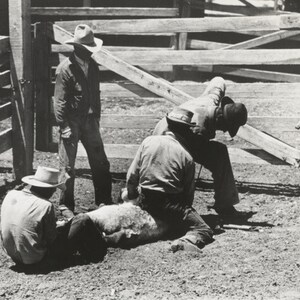 Cattle Ranch Branding Pen Photo – Vintage Western Printable Wall Art ...
