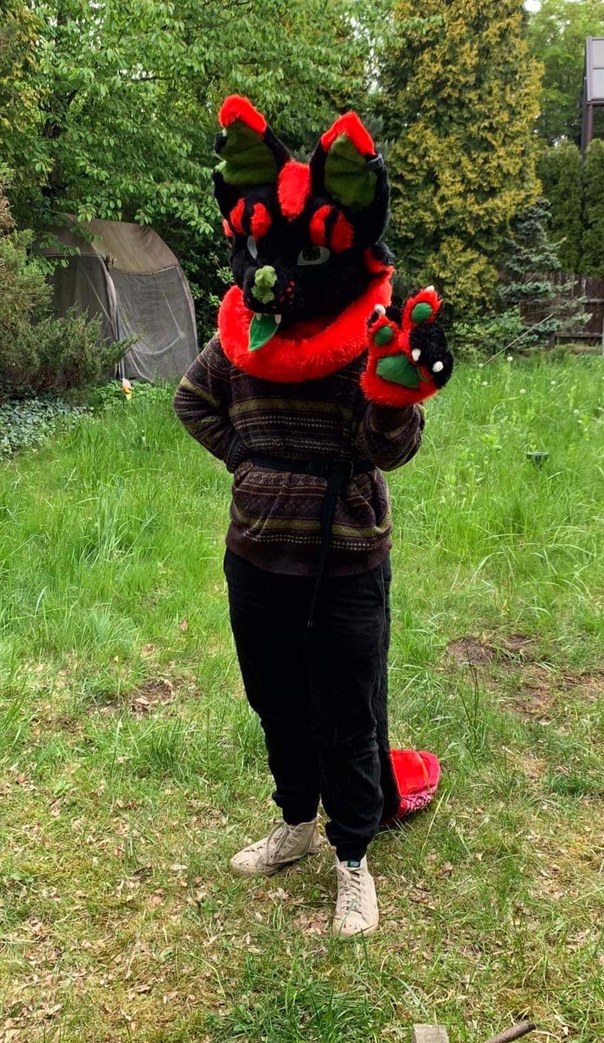 Bat Fursuit Premade - Etsy