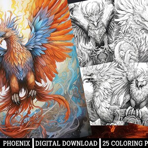 Phoenix Coloring Pages,for Adults Instant Download Grayscale Coloring ...