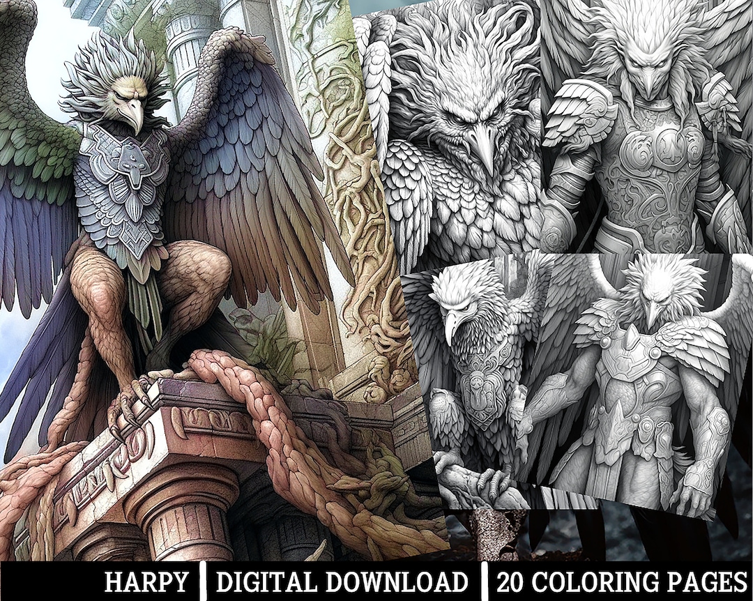 Harpy Coloring Pages for Adults Instant Download Grayscale - Etsy