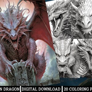 Demonic Dragons Coloring Pages for Adults - Instant Download ...