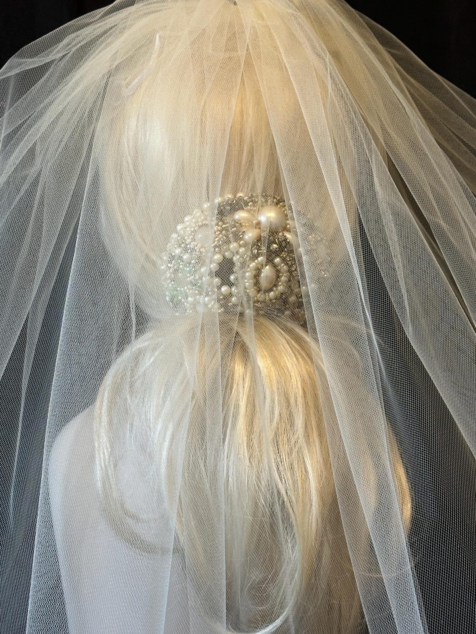 Bridal Bejeweled Chignon Cover Embroidered Pearls Crystals Colored ...