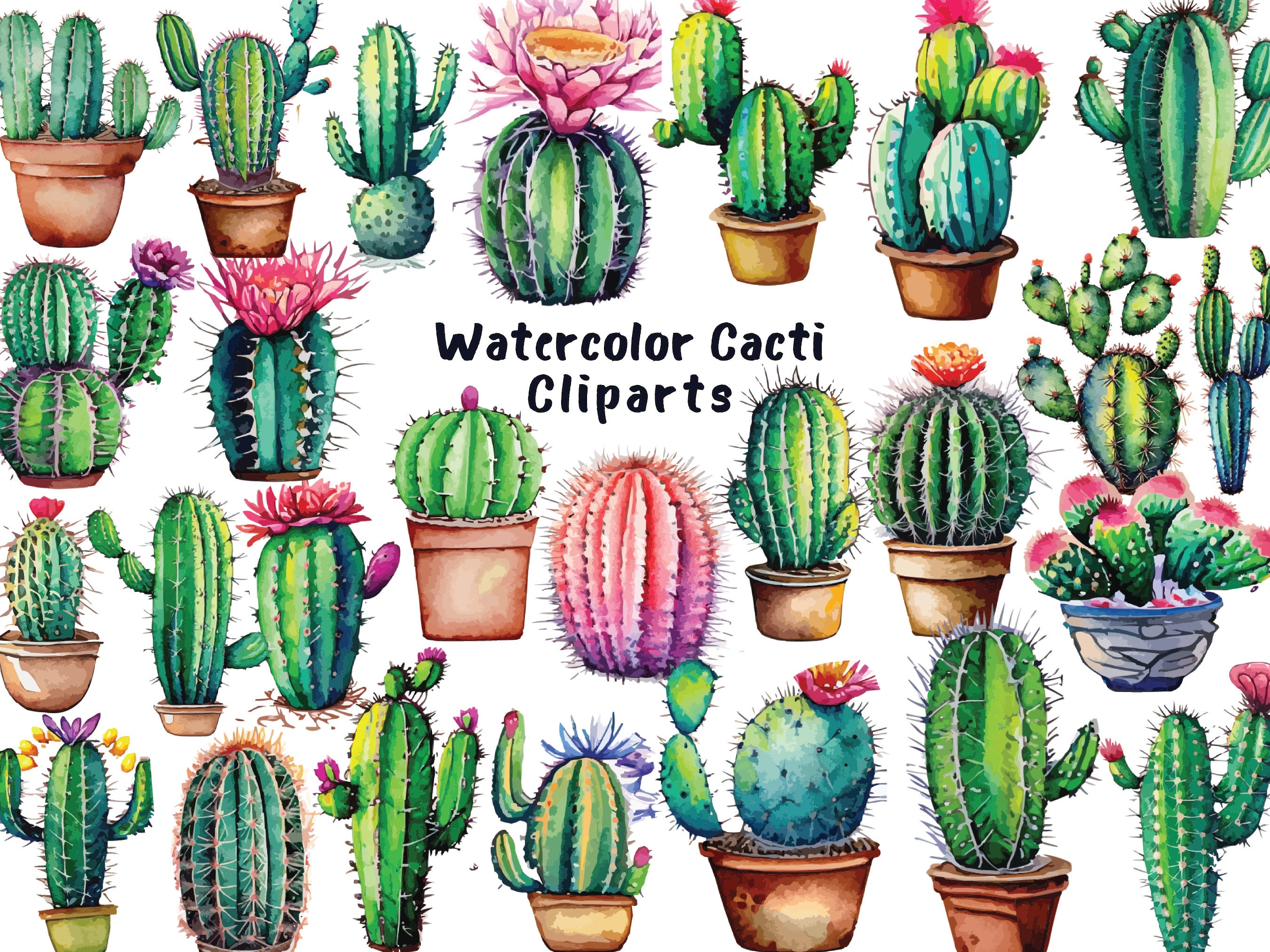 Watercolor Cactus Clipart - Watercolor Cacti and Plants Download ...