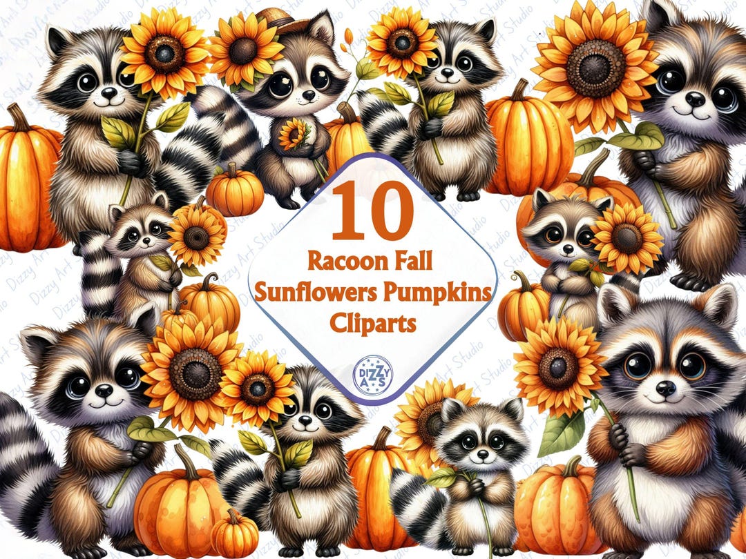 Raccoon Fall Clipart 10 PNG Images, Sunflowers & Pumpkins, Transparent ...