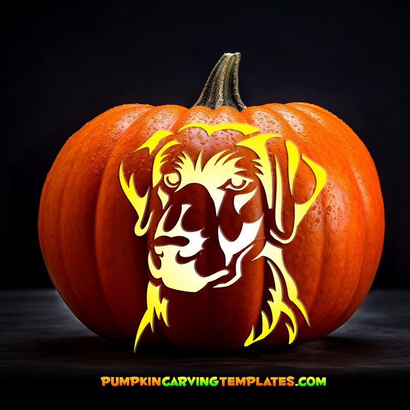 Labrador Pumpkin Stencil - Etsy