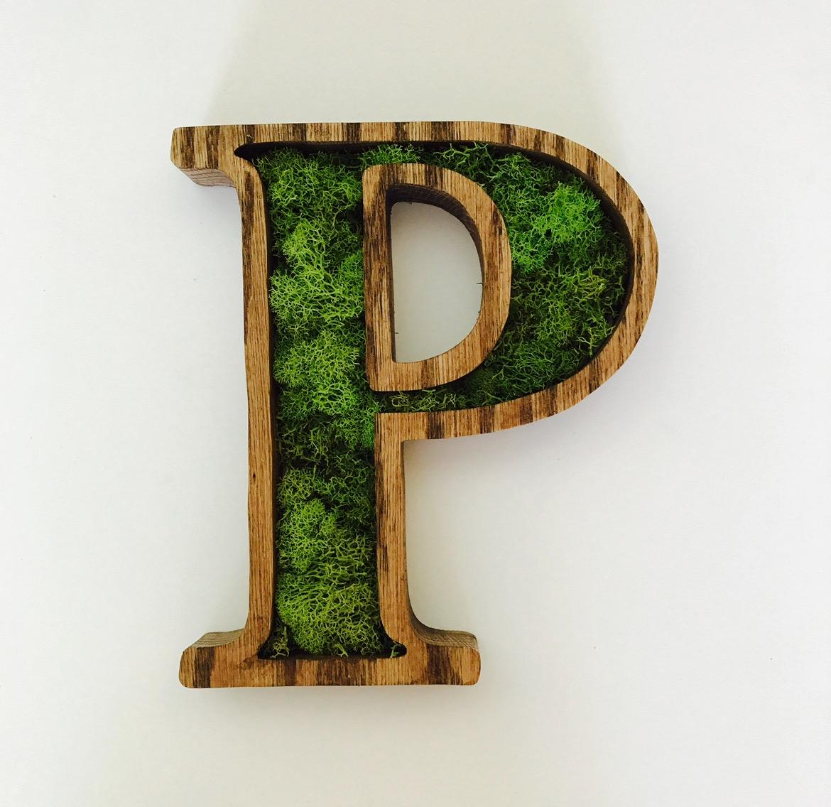 Rustic Wooden Letter P | Wooden Succulent Monogram - Etsy