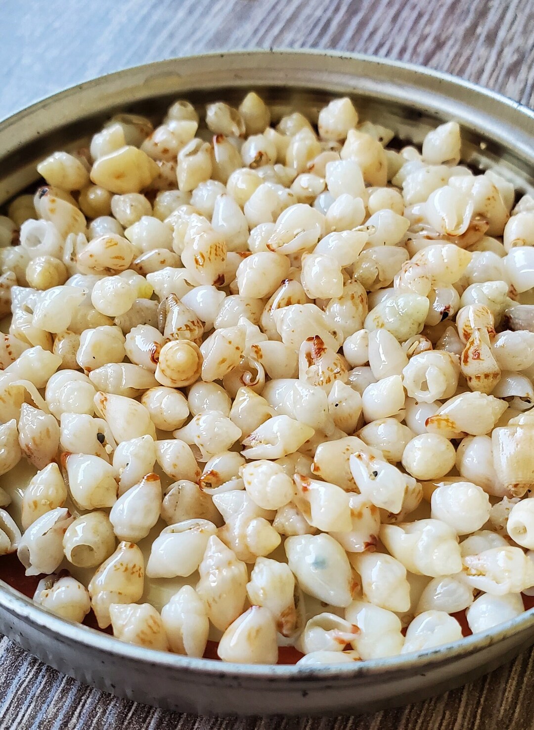 Hawai'i Momi Shells - Etsy