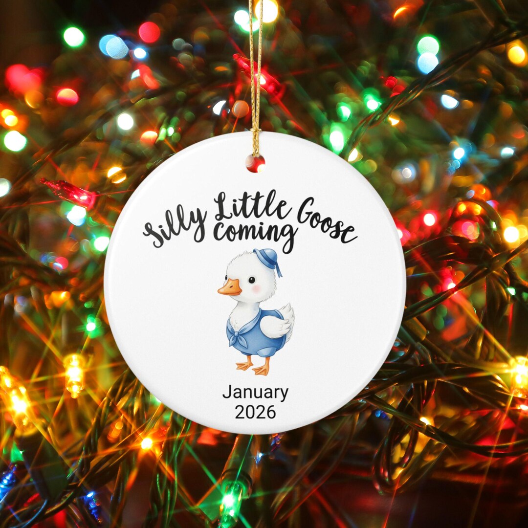 Custom Birth Month Ornament for Boy: Silly Goose Blue Christmas ...