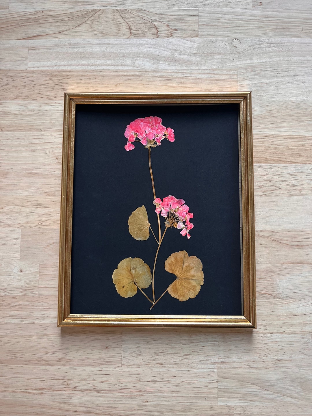Pressed Flowers Art PRINT Print of Original Pressed Geranium Flower ...