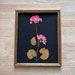 Pressed Flowers Art PRINT Print of Original Pressed Geranium Flower ...