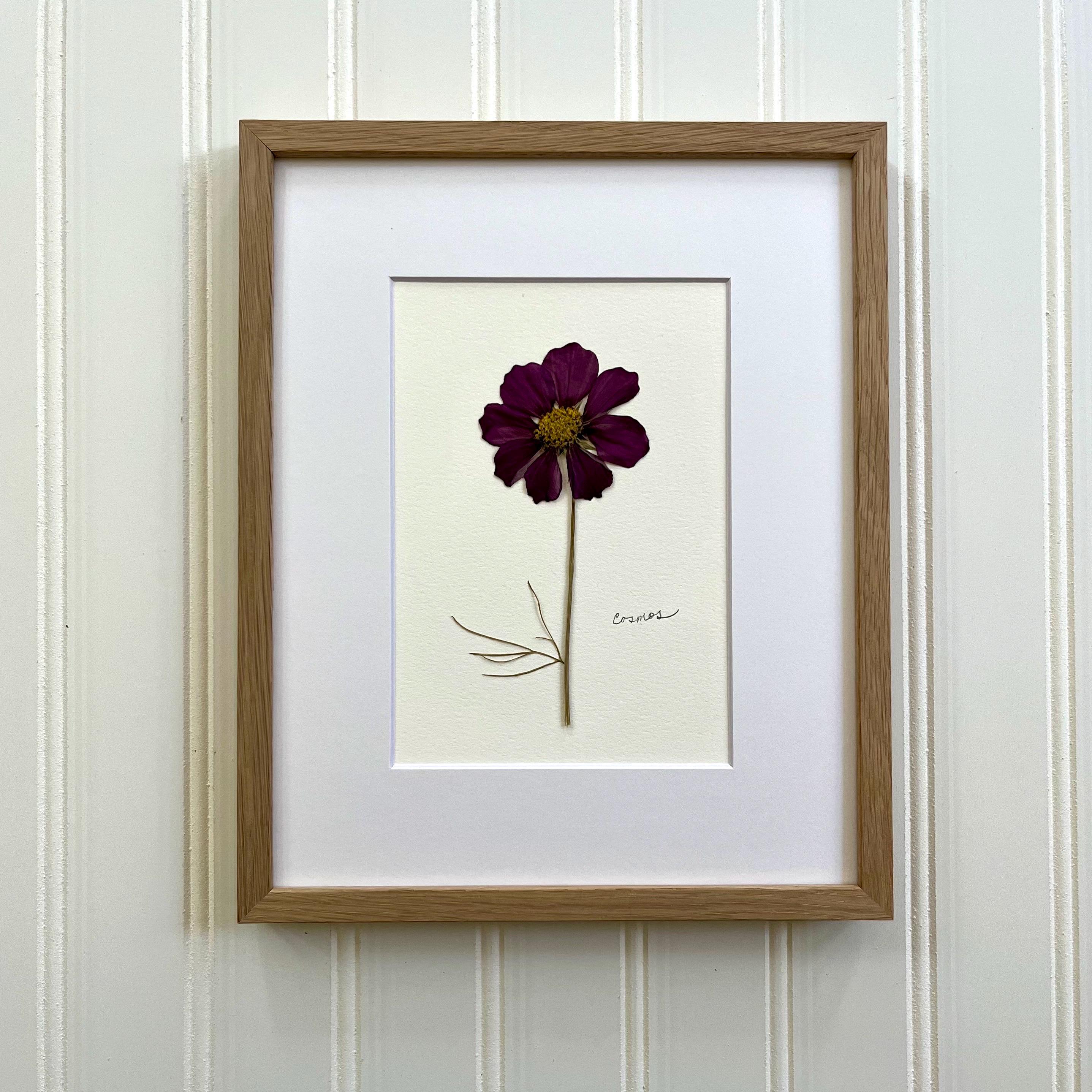 Pressed Flowers Matted, UNFRAMED ORIGINAL Cosmos Flower Artwork - Etsy
