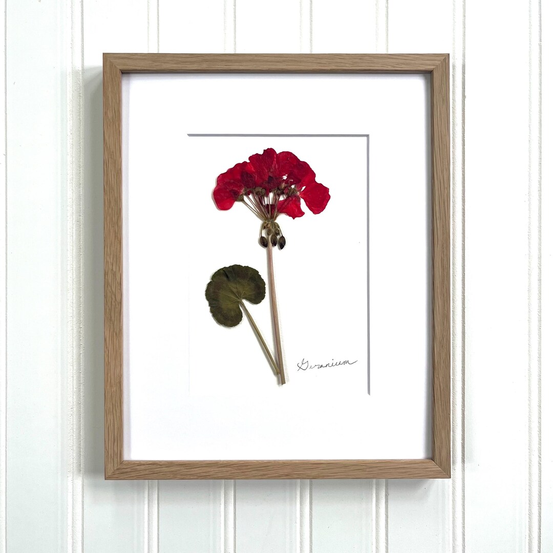 Pressed Flowers Matted, UNFRAMED ORIGINAL Geranium Flower Artwork - Etsy