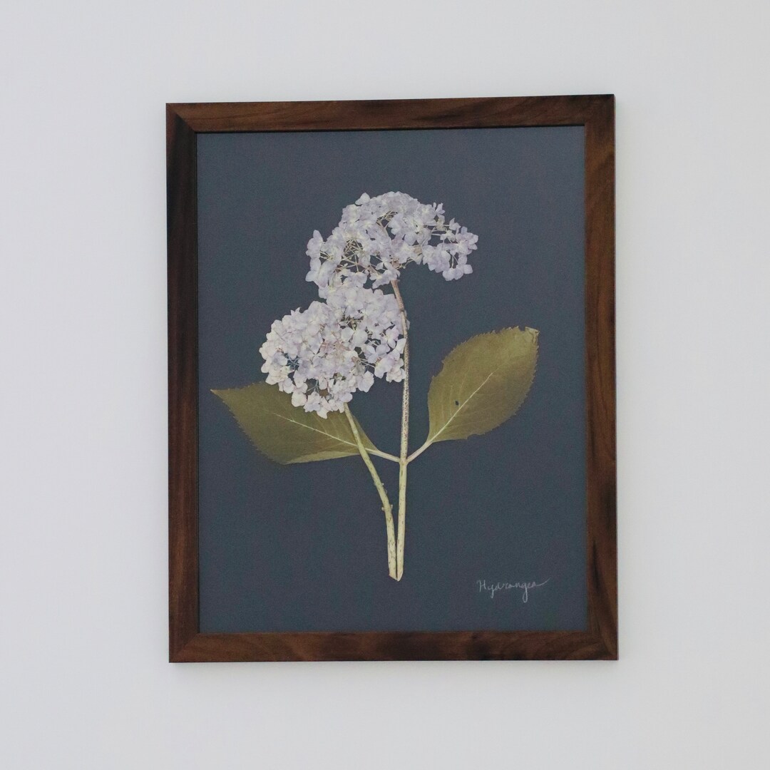 Pressed Flowers | ORIGINAL Framed Pressed Hydrangea Flower Artwork - Etsy