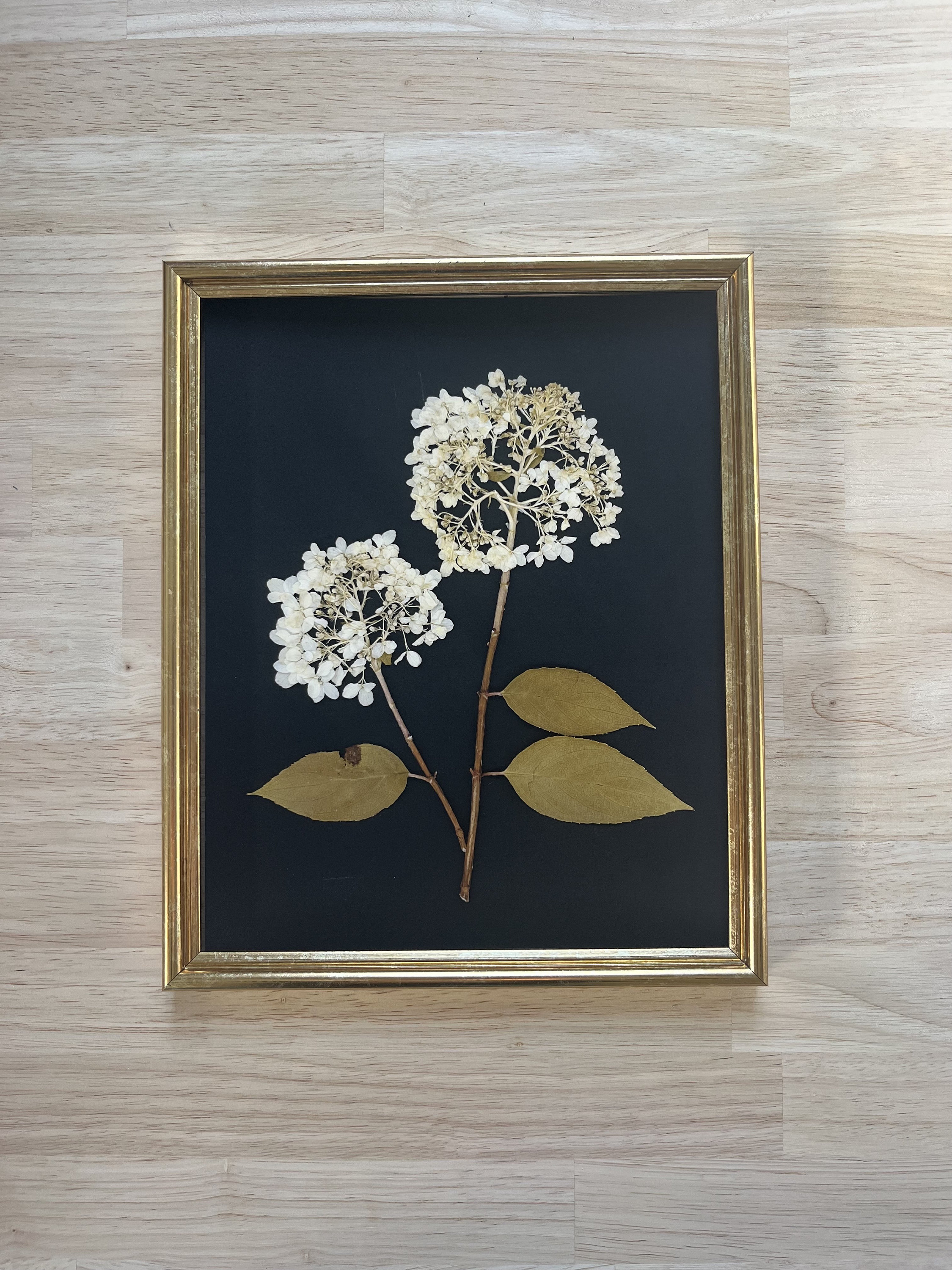 Pressed Flowers Art PRINT Print of Original Pressed Hydrangea Flower ...