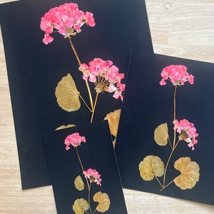 Pressed Flowers Art PRINT Print of Original Pressed Geranium Flower ...