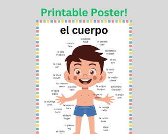 Body Parts in Spanish & English Poster Download, Spanish Basics ...