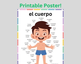 Body Parts in Spanish & English Poster Download, Spanish Basics ...