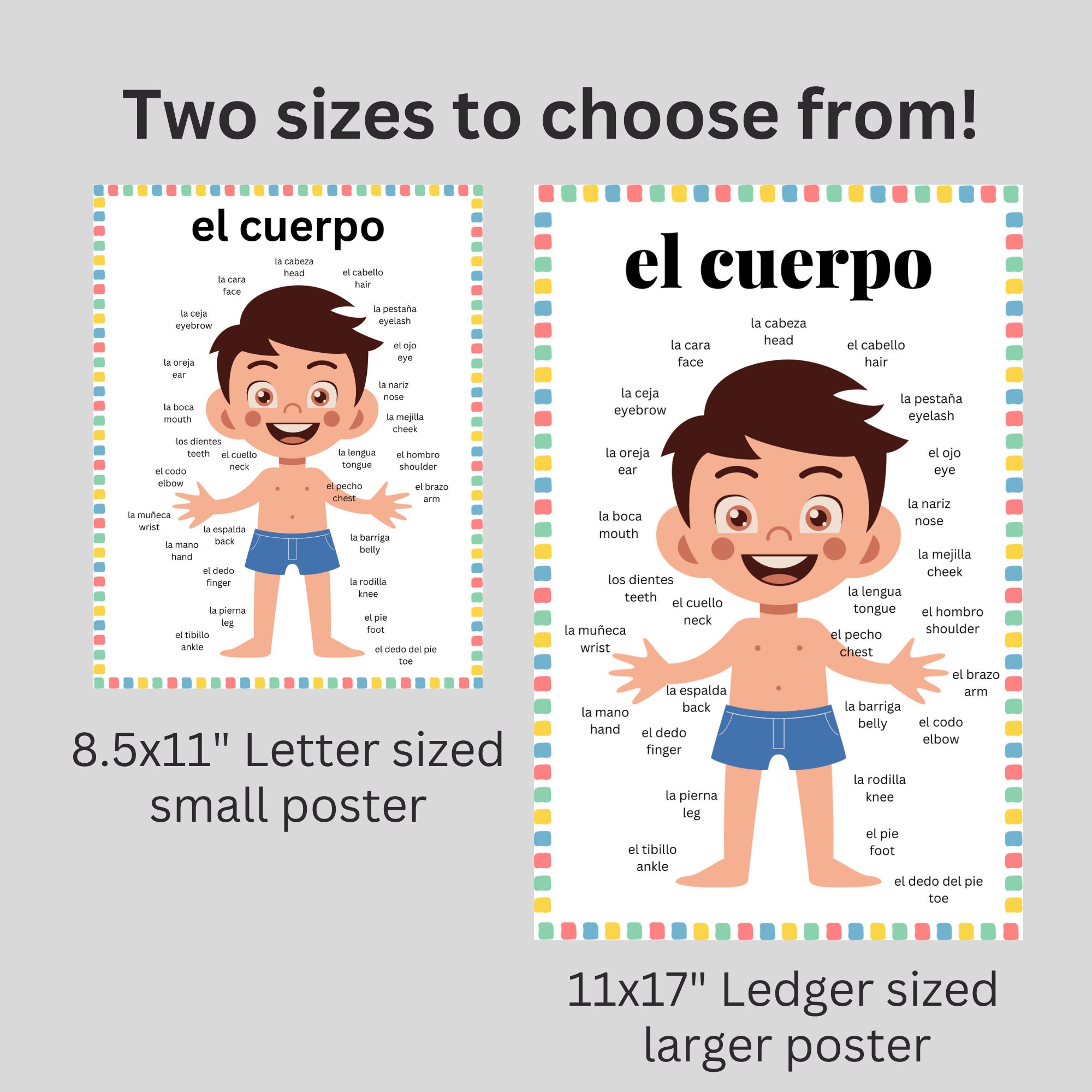 Body Parts in Spanish & English Poster Download, Spanish Basics ...
