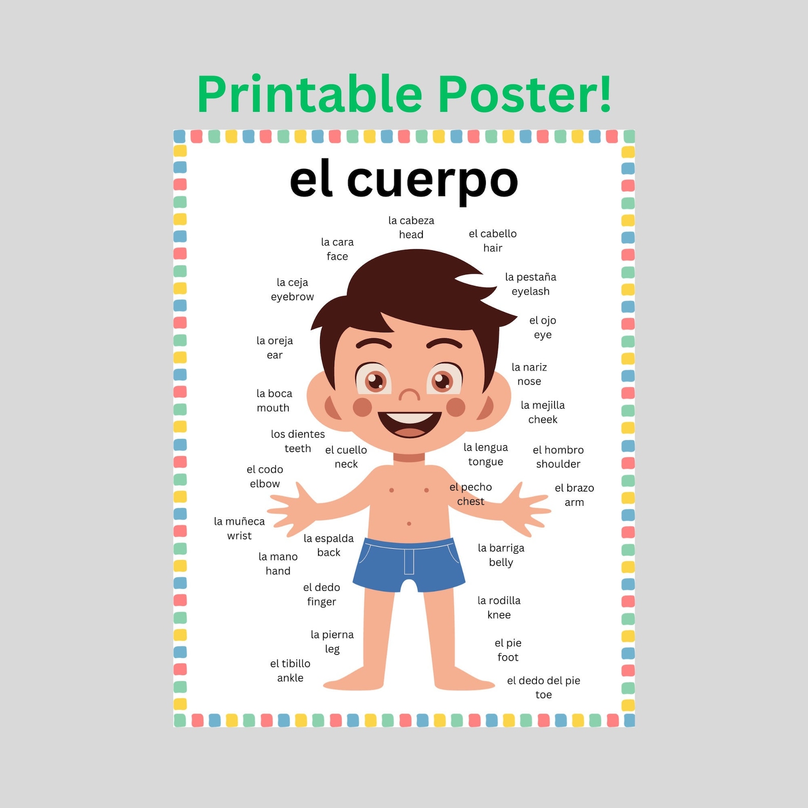 Body Parts in Spanish & English Poster Download, Spanish Basics ...