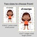 Body Parts in Spanish & English Poster Download, Spanish Basics ...
