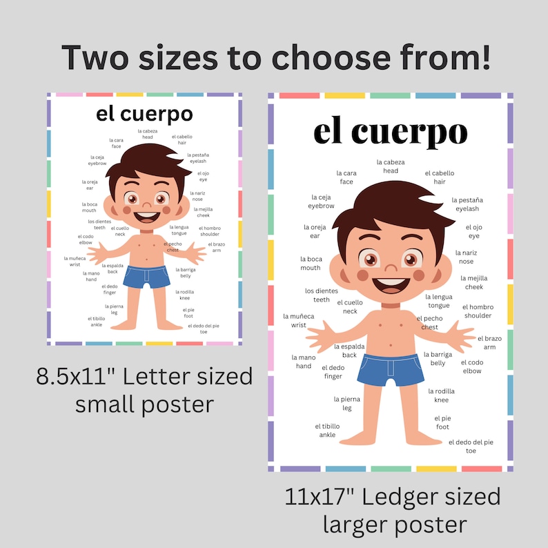 Body Parts in Spanish & English Poster Download, Spanish Basics ...
