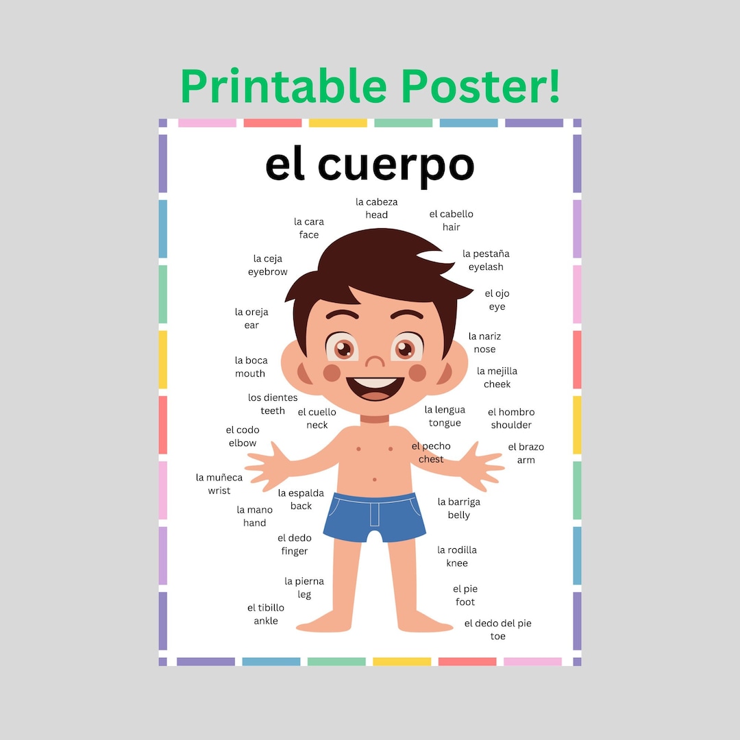 Body Parts in Spanish & English Poster Download, Spanish Basics ...