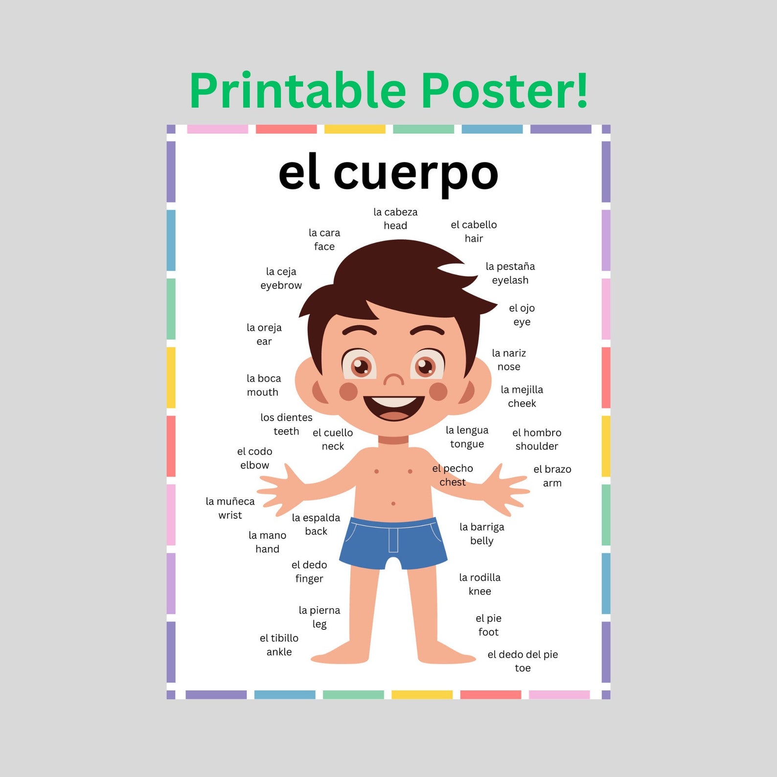 Body Parts in Spanish & English Poster Download, Spanish Basics ...