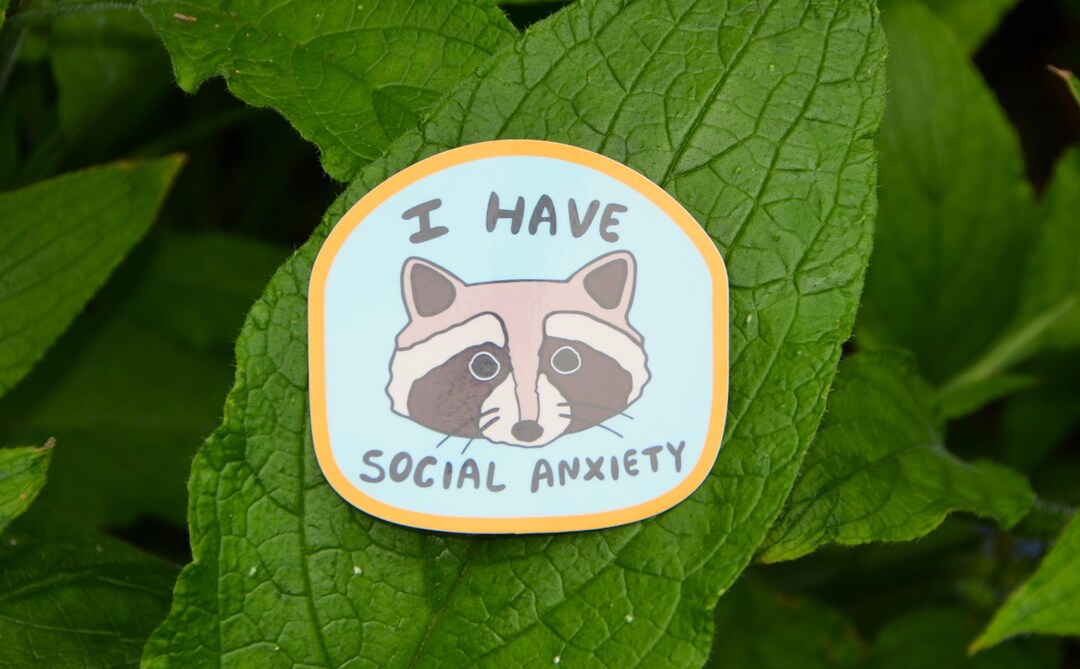 I Have Social Anxiety Vinyl Waterproof Sticker, Raccoon Sticker - Etsy