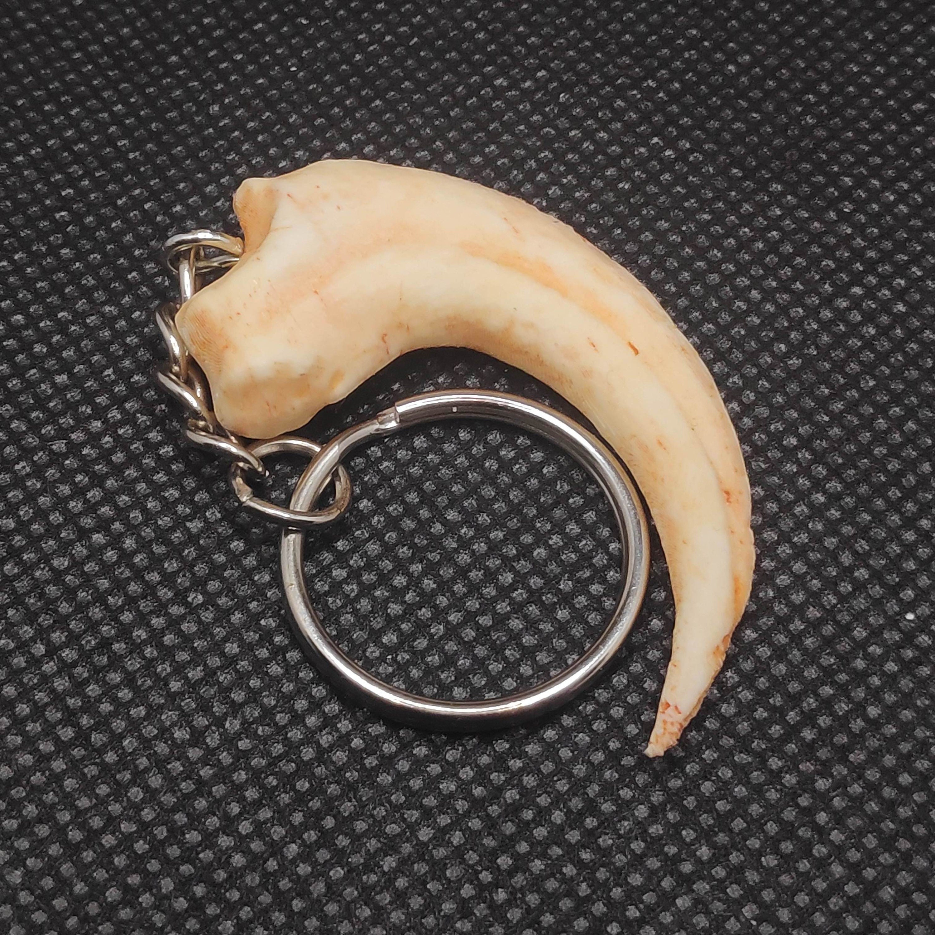 Velociraptor Claw Raptor Claw Keychain Fossil Claw Replica - Etsy UK
