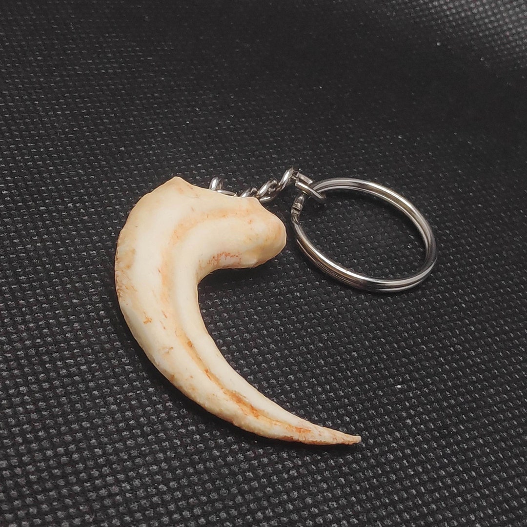 Velociraptor Claw, Raptor Claw Keychain, Fossil Claw Replica, Claw ...
