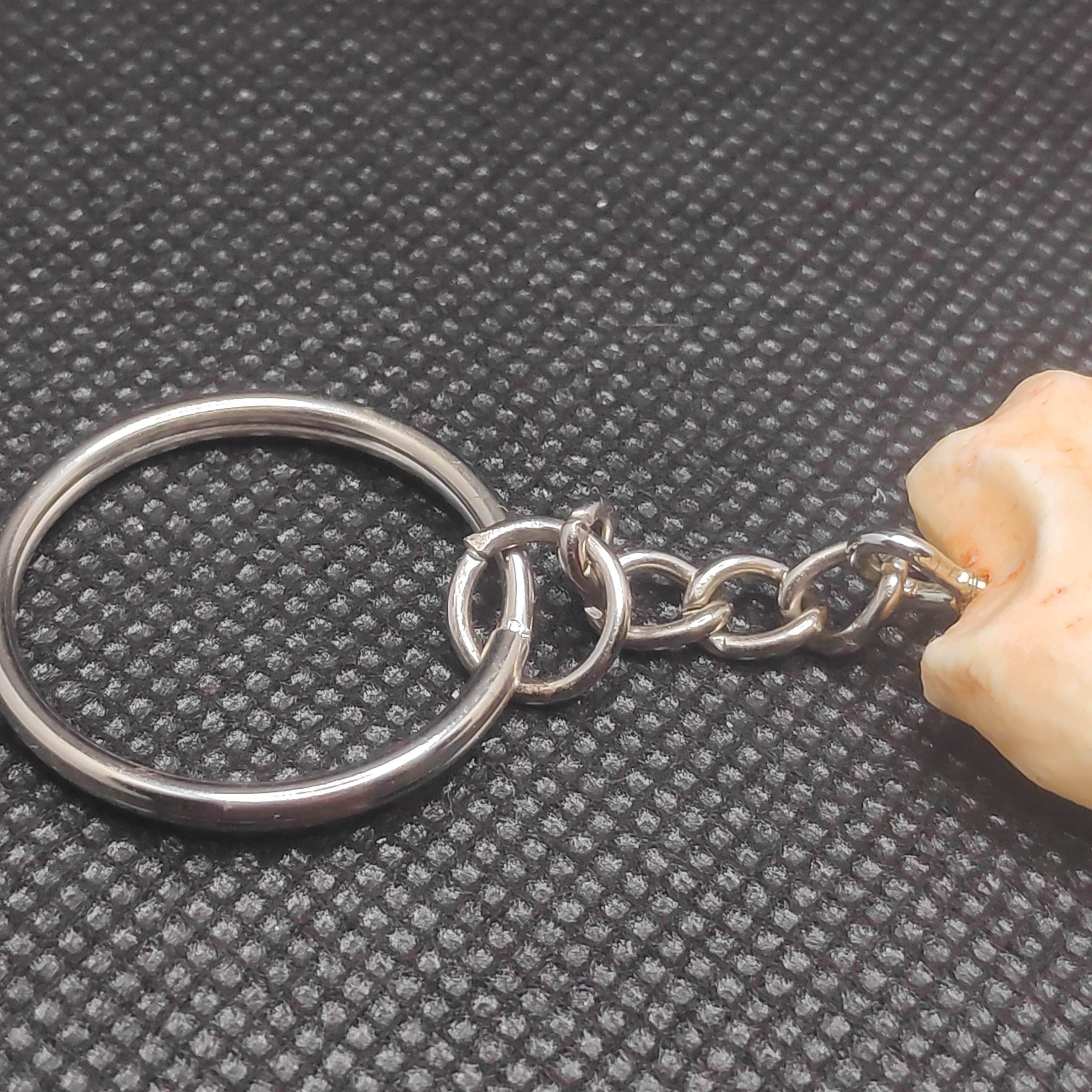 Velociraptor Claw Raptor Claw Keychain Fossil Claw Replica - Etsy UK