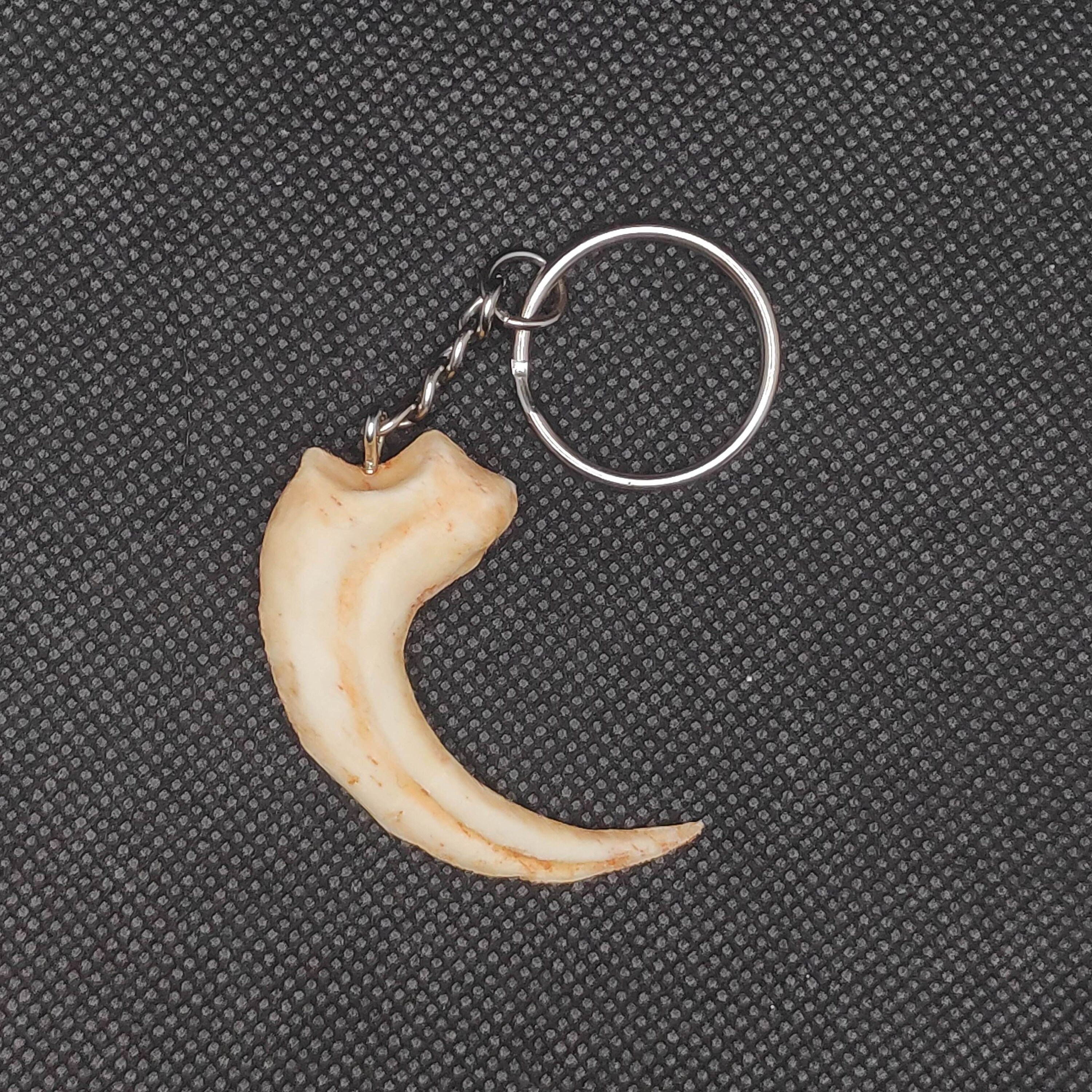Velociraptor Claw Raptor Claw Keychain Fossil Claw Replica - Etsy UK