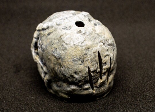 Very Loud Aztec Death Whistle, Mayan Death Whistle, Working Death ...