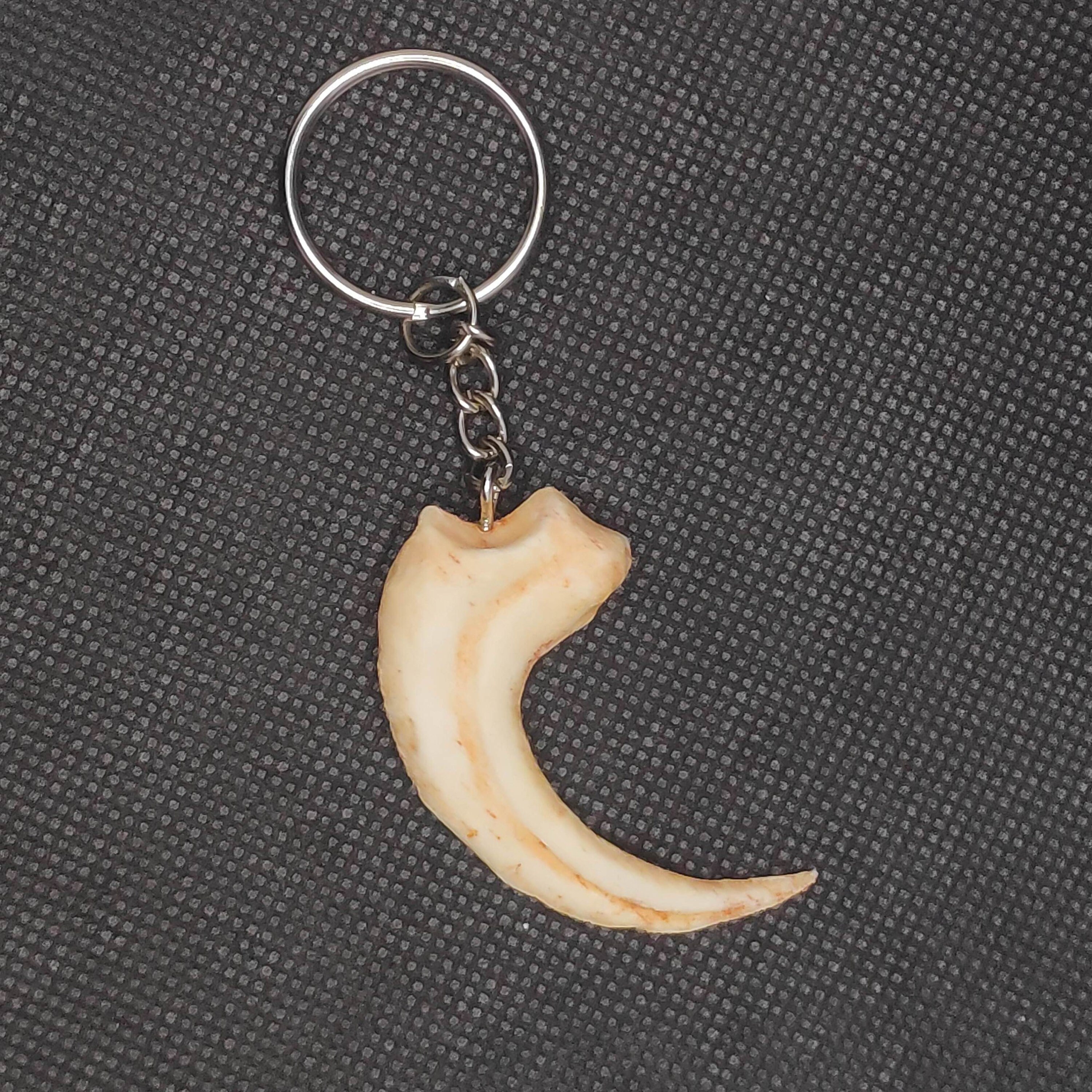 Velociraptor Claw Raptor Claw Keychain Fossil Claw Replica - Etsy UK