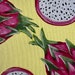 Cutest Dragon Fruit Painting on Small Canvas - Etsy