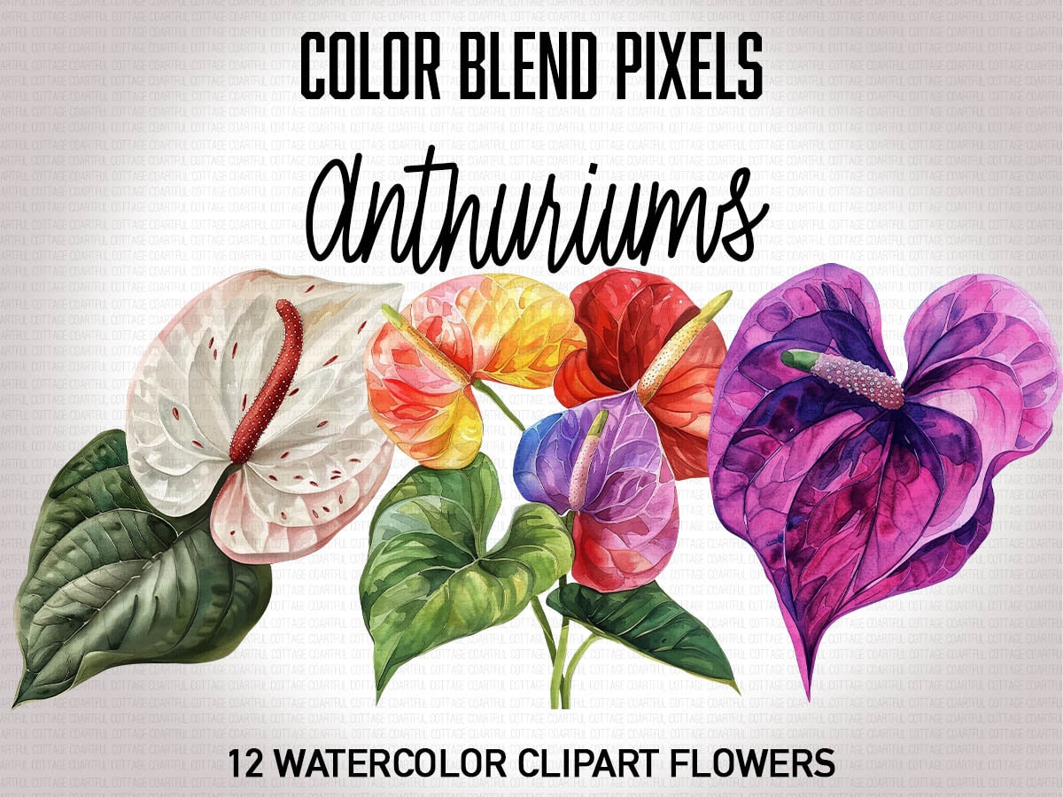 Tropical Anthurium Flower Pack Colorful Hawaiian Flowers, PNG Files ...