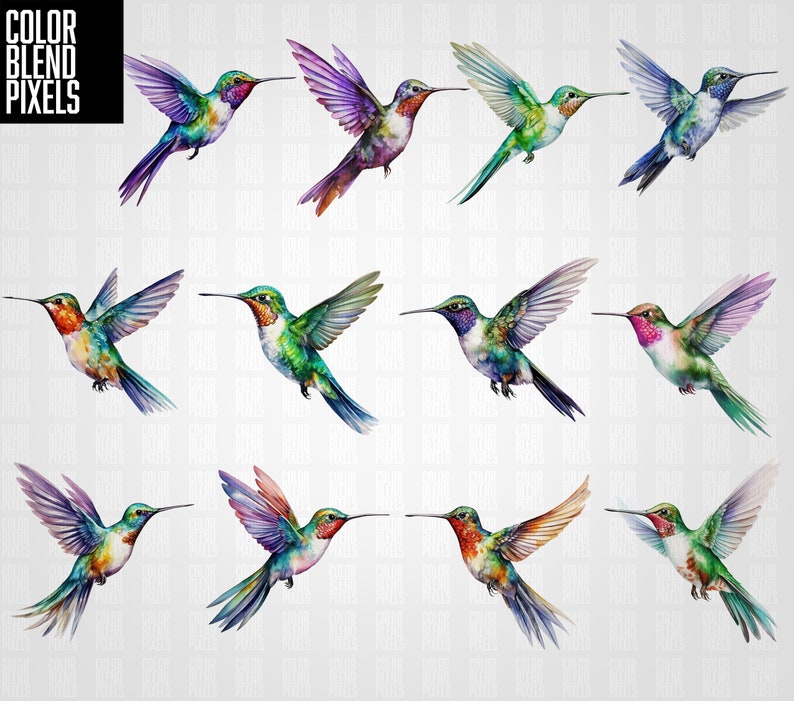 Beautiful Watercolor Hummingbird Clipart Set, Instant Download ...