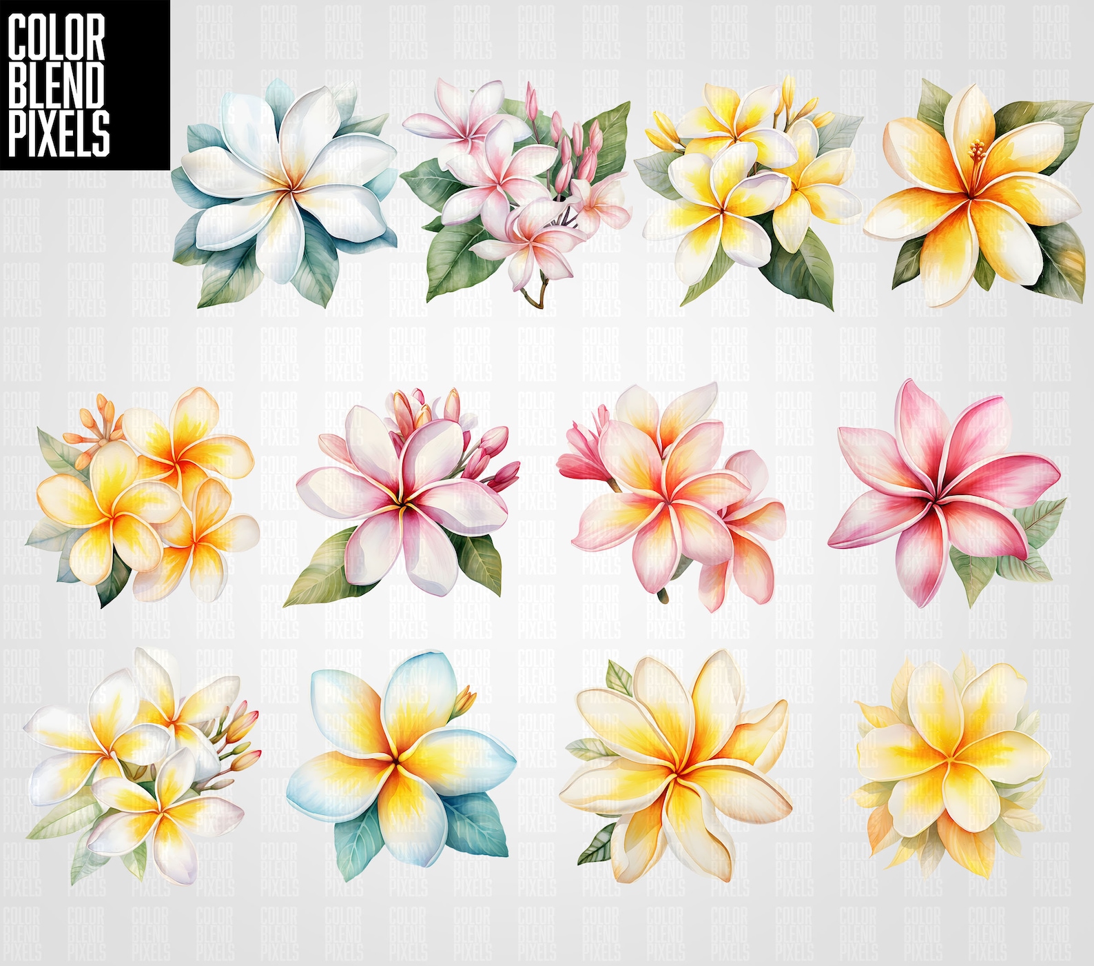 Hawaiian Plumerias - Watercolor Clipart, Flower PNG - Etsy