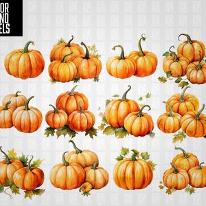 Watercolor Pumpkins Clipart Bundle - Transparent Background, Png ...