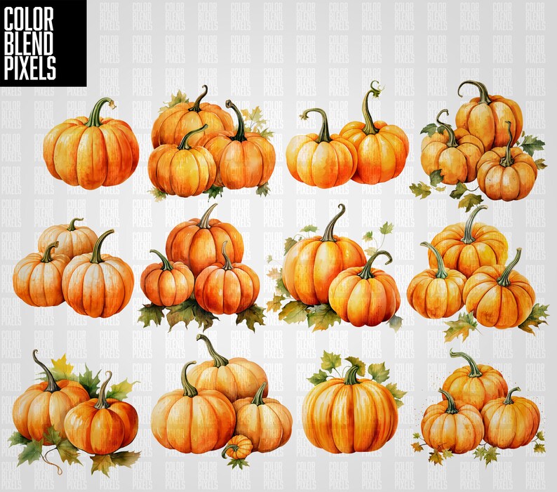 Watercolor Pumpkins Clipart Bundle - Transparent Background, Png ...