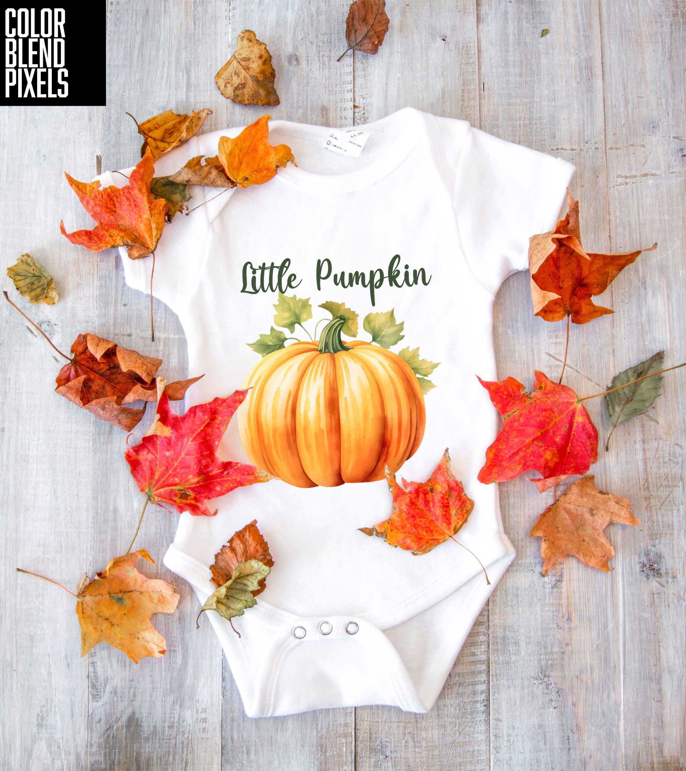 Watercolor Pumpkins Clipart Bundle - Transparent Background, Png ...