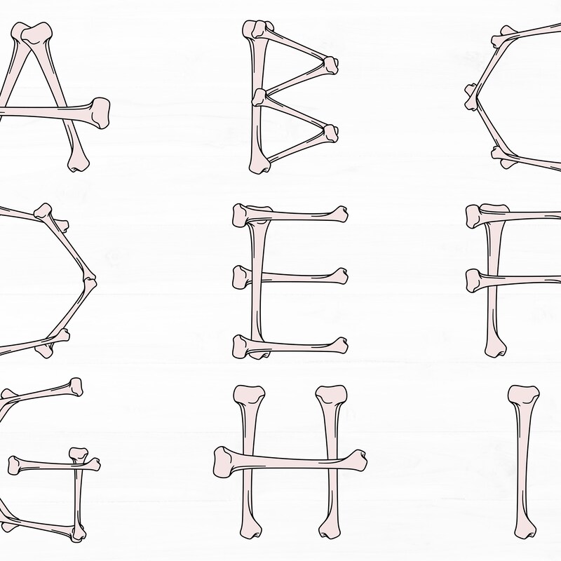 Bone Clipart - Etsy