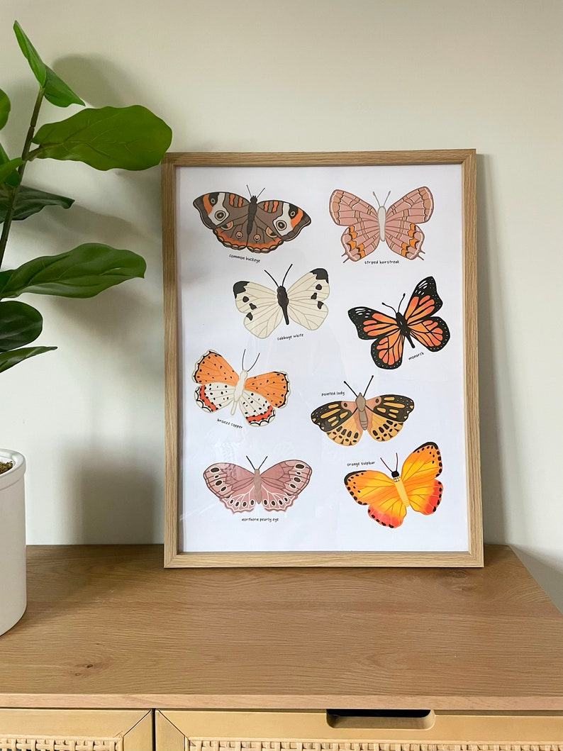 Butterfly Chart Wall Art - Children's Bedroom, Classroom, Wall Decor - Etsy