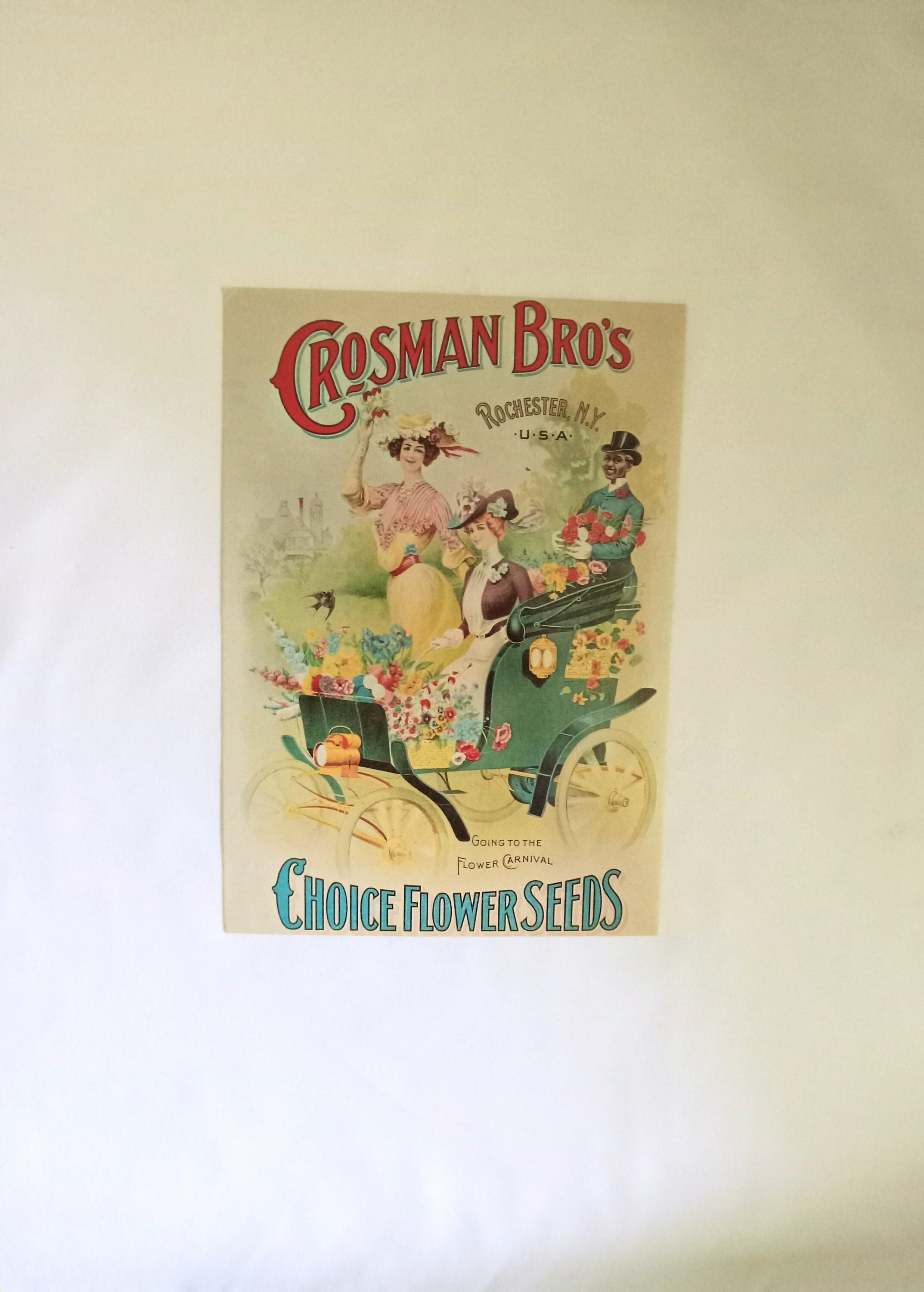 1968 Rare, Giant Unused Crosman Bro's Seed Company Post Card. Post Card Picture by Maud Humphrey ...