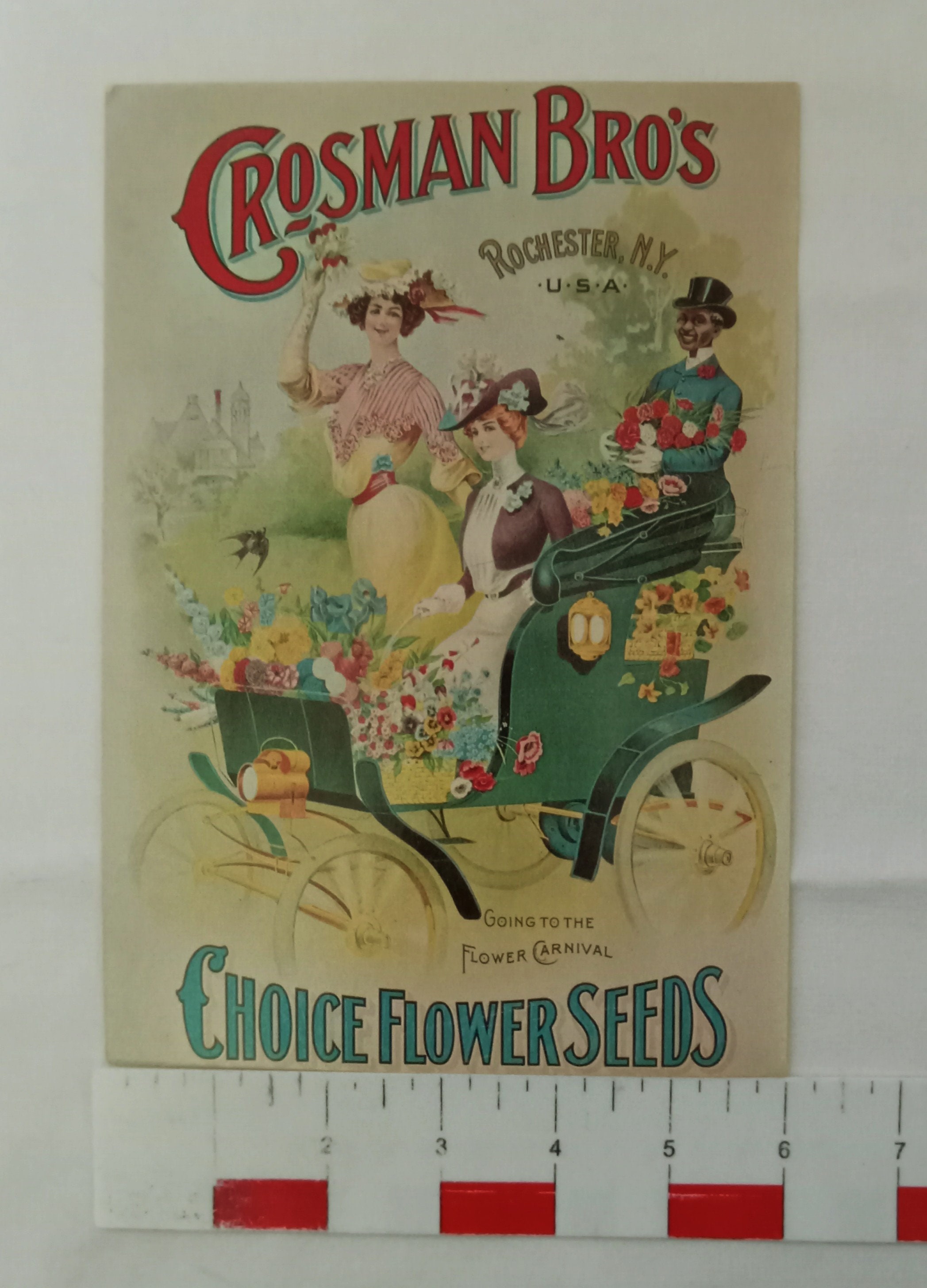 1968 Rare, Giant Unused Crosman Bro's Seed Company Post Card. Post Card Picture by Maud Humphrey ...