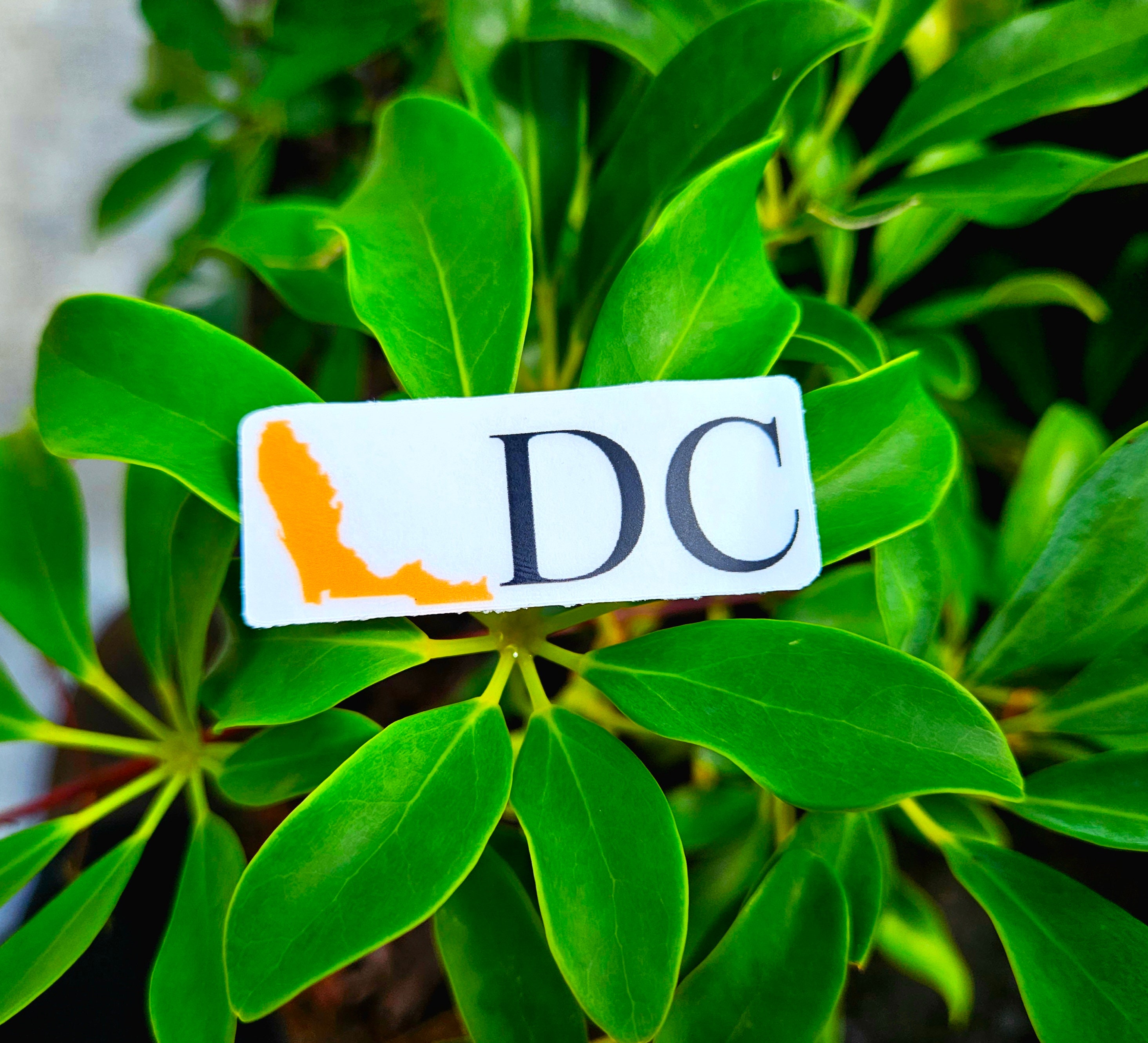 LDC Florida Sticker JW Sticker - Etsy
