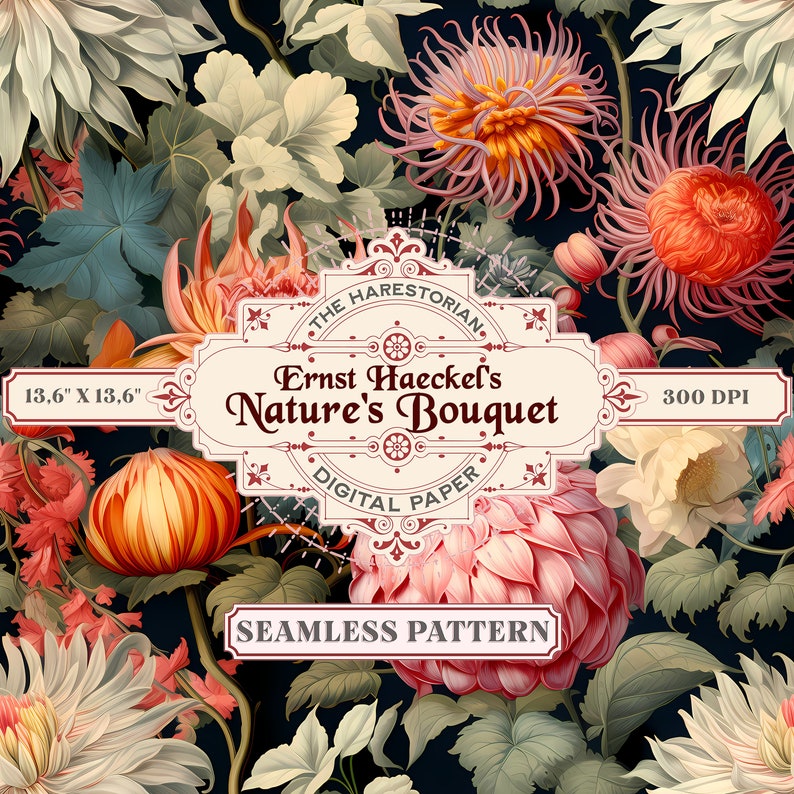 Ernst Haeckel's Nature's Bouquet (set of 18), Art Nouveau, Digital Art ...